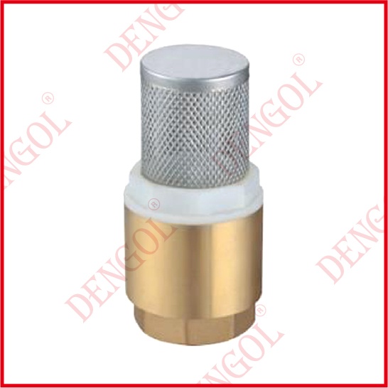 Check Valve